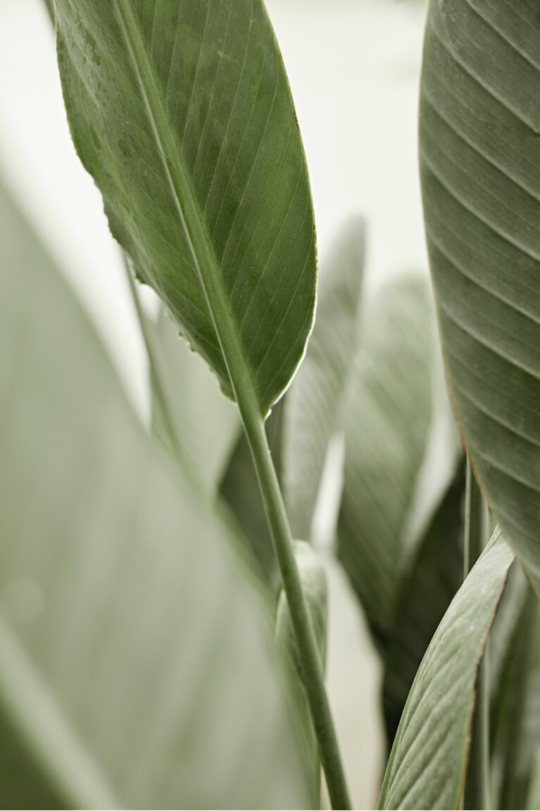 New for - Sweats | Roots