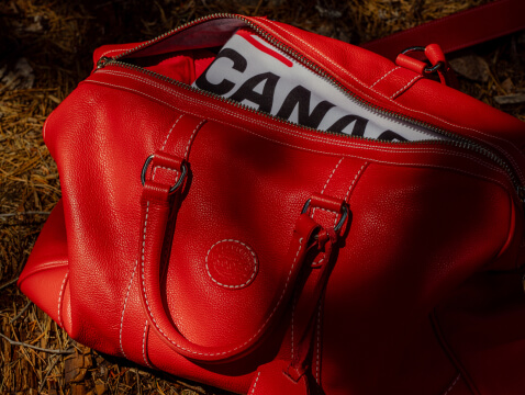 Leather Bags, Purses and Backpacks | Roots