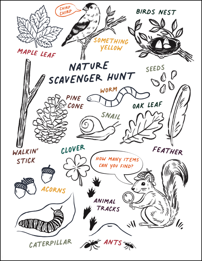 Nature Club Activities | Roots