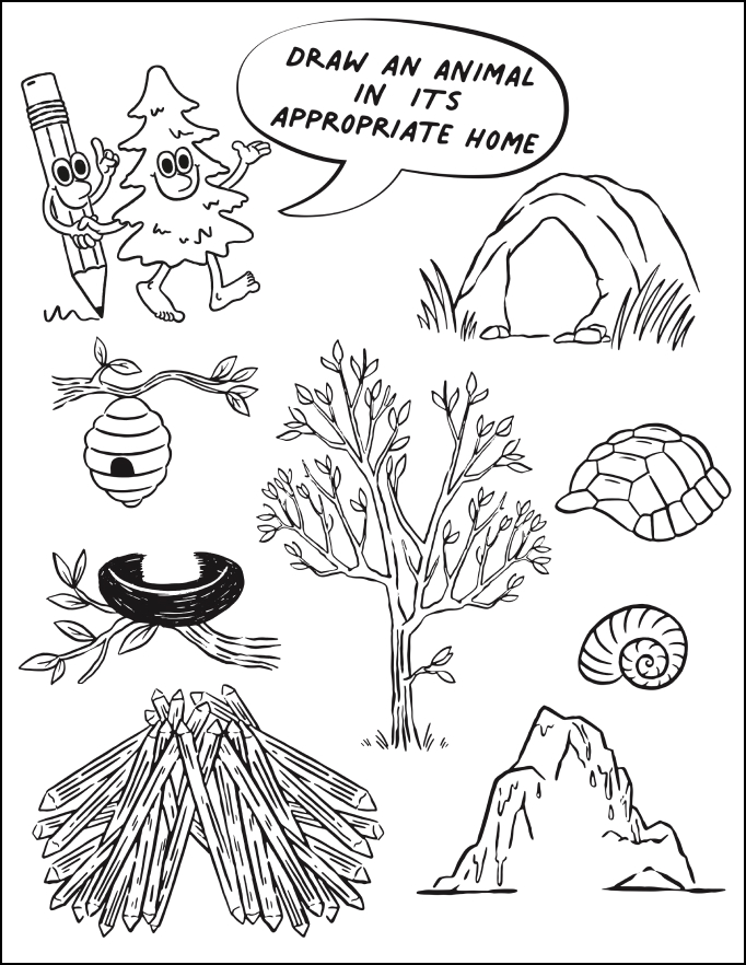 Nature Club Activities | Roots